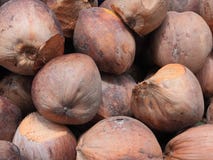 Pile Of Coconuts Background Royalty Free Stock Photos - Image: 31425108