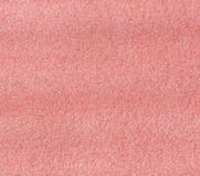 Pink Fiber Optic Flowers stock photo. Image of bright - 9750724