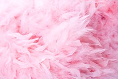 Light Pink Powder Texture Stock Images by Megapixl