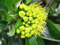 Free Stock Photography - StockVault.com