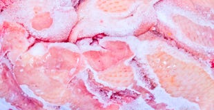 Pollo Congelado En La Helada Imagen de archivo - Imagen de comida ...