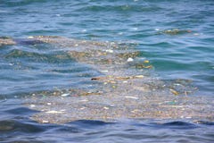 Polluted Water Droplets From Acid Rain Collected Over The Big Green ...