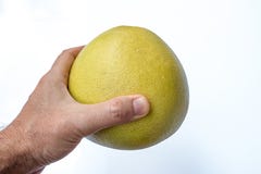 Sweet Pomelo The Thailand Tropical Fruit Stock Photo - Image of organic ...