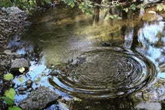 Ripples Stock Images - Download 70,486 Royalty Free Photos