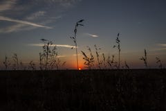 Prairie Sunset Stock Images - 7,323 Photos