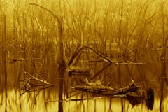 Prehistoric Marsh stock illustration. Illustration of jurassic - 13319677