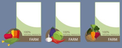 Organic Vegetable Price Tag Or Label Set Design Stock Vector - Image ...