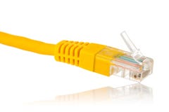 Cable De LAN Amarillo De Ethernet Imagen de archivo - Imagen de aislado ...