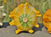 Beekeeper 21 Royalty Free Stock Images - Image: 6517119