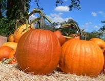 Meditation stock photo. Image of people, outdoors, training - 612318