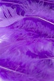 Soft Purple Feathers Texture Stock Image - Image: 95525