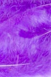 Soft Purple Feathers Texture Stock Image - Image: 95525