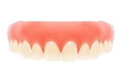 Quijada Humana Imagen de archivo - Imagen: 5468051