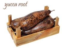 Raíz de la yuca foto de archivo. Imagen de sano, alimento - 40809686