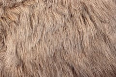 Rabbit fur texture stock image. Image of rough, fashion - 13368823