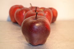 Allegory of Agriculture stock image. Image of business - 553055