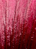Texture Flower Petal Stock Images - Download 98,610 Photos