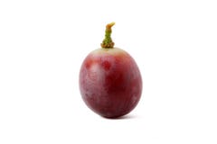 Single red grape stock image. Image of tasty, closeup - 4844955