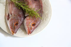 Red Snapper on a plate stock photo. Image of lemon, cooked - 15904710