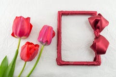 Tulips And Silk Royalty Free Stock Images - Image: 13263779