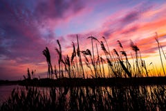Sunset over water surface stock photo. Image of morning - 18238076