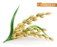 Waffles, Seamless Texture Vector Background Stock Vector - Illustration ...