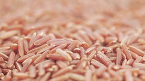 Red Kernel Rice in bulk stock footage. Video of grain - 111192598
