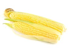 Yellow corn on the cob stock image. Image of four, food - 21165349