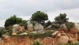 The Statue Of King Raja Raja Cholan Stock Image - Image of isolated ...