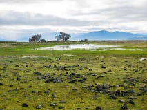 Table Rock - Central Point, Oregon Stock Image - Image: 9519333