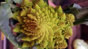 Human Blood Cells Under A Microscope Stock Photo - Image of blood ...