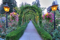 Secret garden path stock photo. Image of beautiful, natural - 25326696