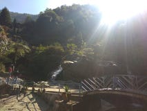 Rotstuin stock foto. Afbeelding bestaande uit installatie - 18521796