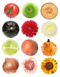 Round Objects Collection Stock Photos - Image: 3245303
