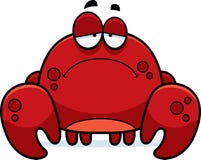 Sad crab stock photo. Image of oceanside, fish, crab, food - 8520102