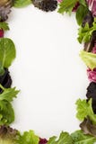 Salad border stock photo. Image of life, spring, greens - 13693306
