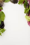 Salad border stock photo. Image of life, spring, greens - 13693306