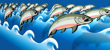 Upstream Clipart And Illustrations