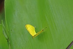 Samlag materielbilder - royalty för nedladdning 2,099 frigör foto