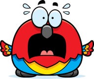 The Scared Parrot.Cartoon Stock Image - Image: 19526481