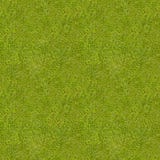 Grass Texture - Seamless Stock Photo 46759930 - Megapixl