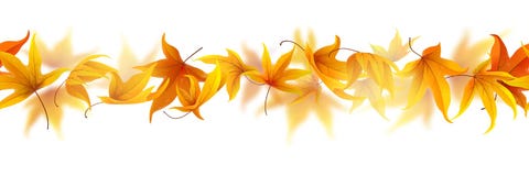 Line of autumn leaves stock vector. Illustration of leaves - 58369975