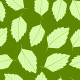 Plants With Sharp Leaves Stock Photo - Image: 32522360