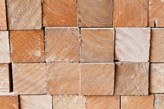 Cross Section Of Rectangular Wood Stock Photo - Image of shape, hard ...