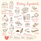 Vector Food Ingredients Royalty Free Stock Images - Image: 27093289