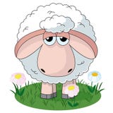 Ewe Clipart And Illustrations