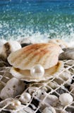 Fondo Del Seashell Con Las Perlas Foto de archivo - Imagen de foto ...