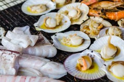 Sea Shell For Food 1. Stock Image - Image: 19017651