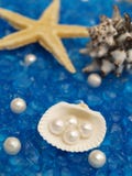 Pearls In Sea Shells On Blue Background Royalty Free Stock Photos ...