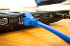 Utp Network Cable Stock Photos - Royalty Free Stock Images